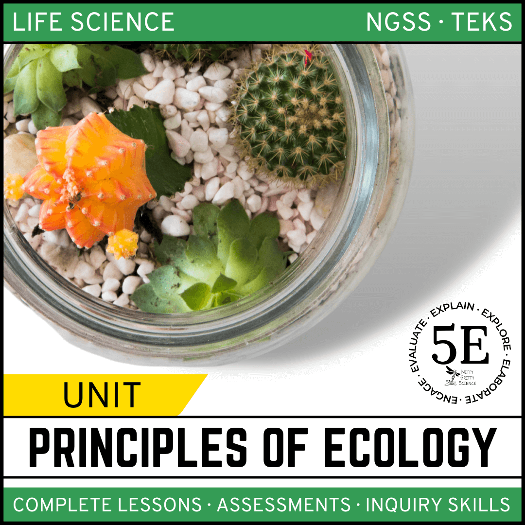 Science Education Teacher Resources | Nitty Gritty Science | NGS Magnified