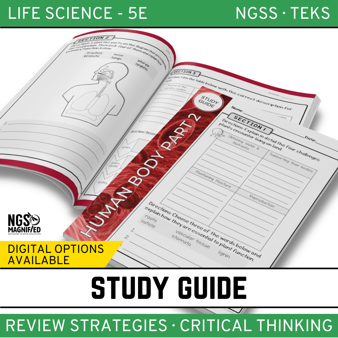 Human Body Part 2 Study Guide | NGS Magnified