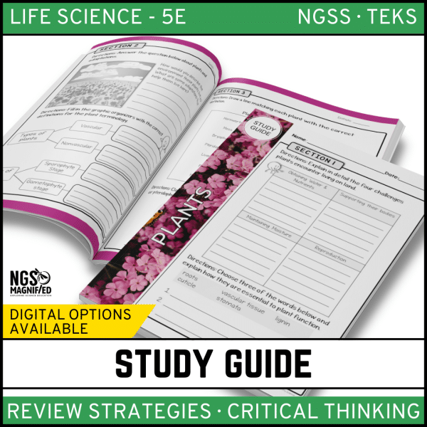 Plants Study Guide | NGS Magnified