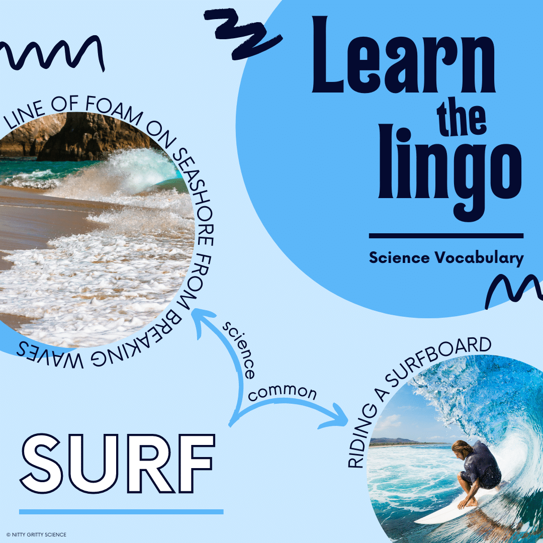 Learn the Lingo Poster Set | NGS Magnified
