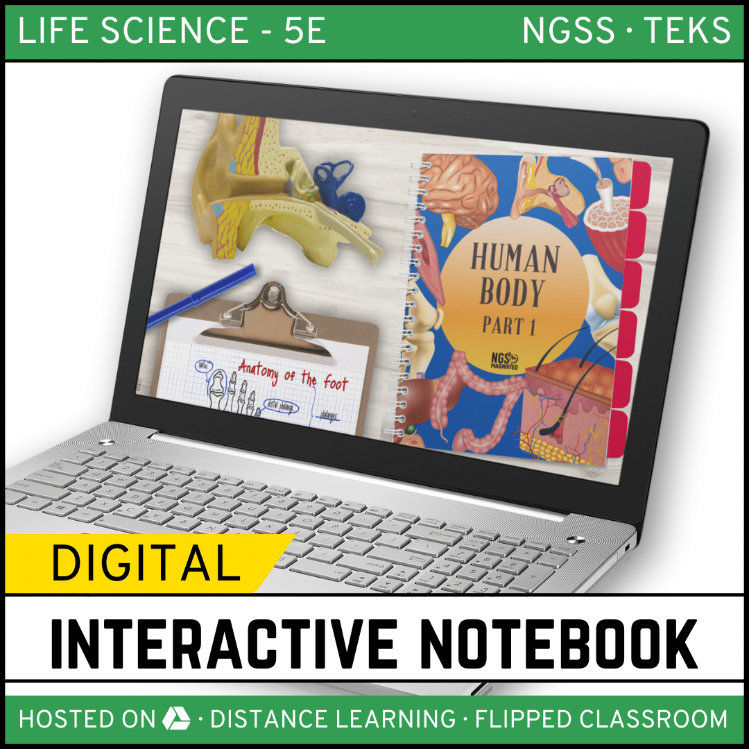 Human Body Part 1 Digital Interactive Notebook | NGS Magnified