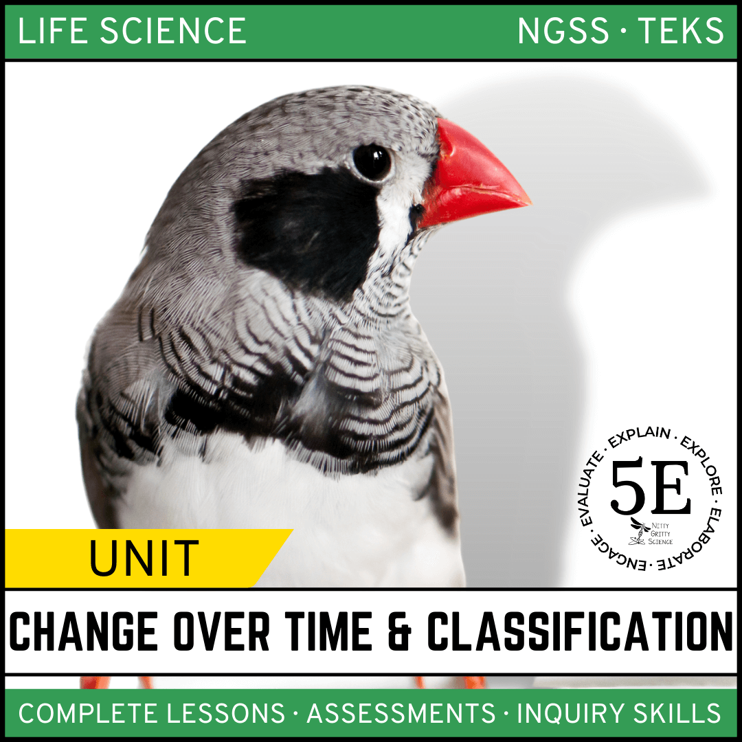 Science Education Teacher Resources | Nitty Gritty Science | NGS Magnified