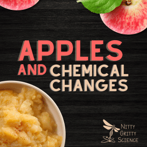 Fall Stem: Seasonal Science Activities | NGS Magnified