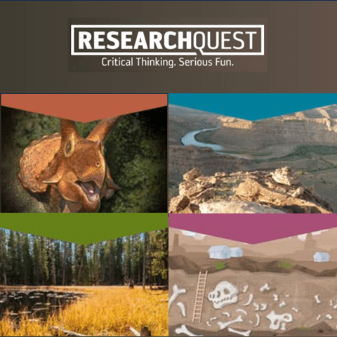 Free Resource For Science Teachers: Research Quest | NGS Magnified