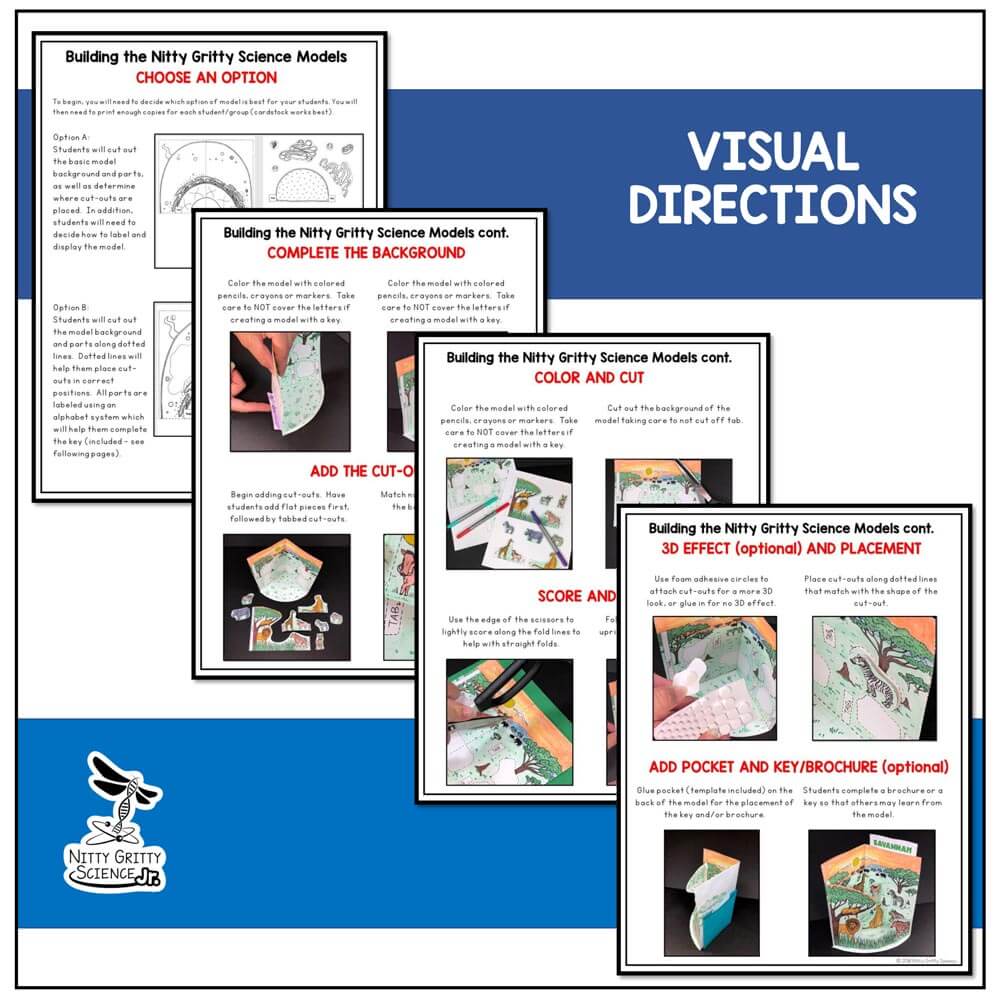 Butterfly Life Cycle Model – 3D Model | NGS Magnified