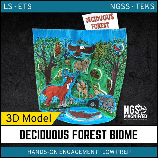 Deciduous Forest Biome Model – 3D Model – Biome Project | NGS Magnified