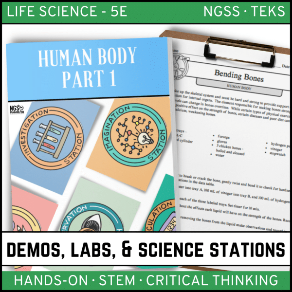 Human Body Part 1 – Demos, Labs and Science Stations | NGS Magnified