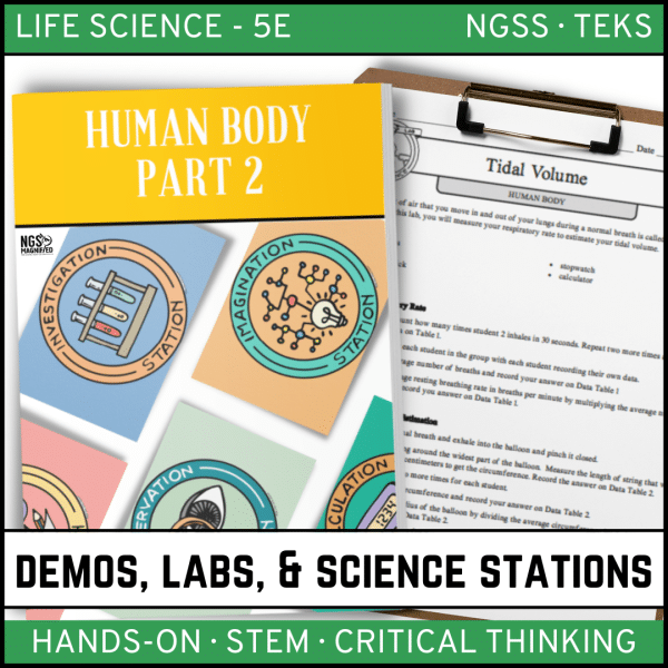 Human Body Part 2 – Demos, Labs and Science Stations | NGS Magnified