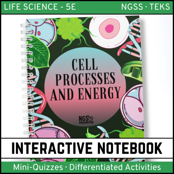 Cell Processes & Energy Interactive Notebook | NGS Magnified
