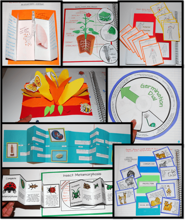 Life Science Interactive Notebook Bundle | NGS Magnified