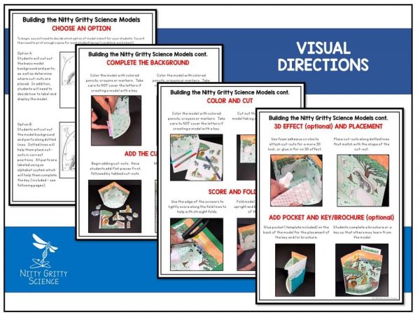 Lake Biome Model – 3D Model – Biome Project | NGS Magnified