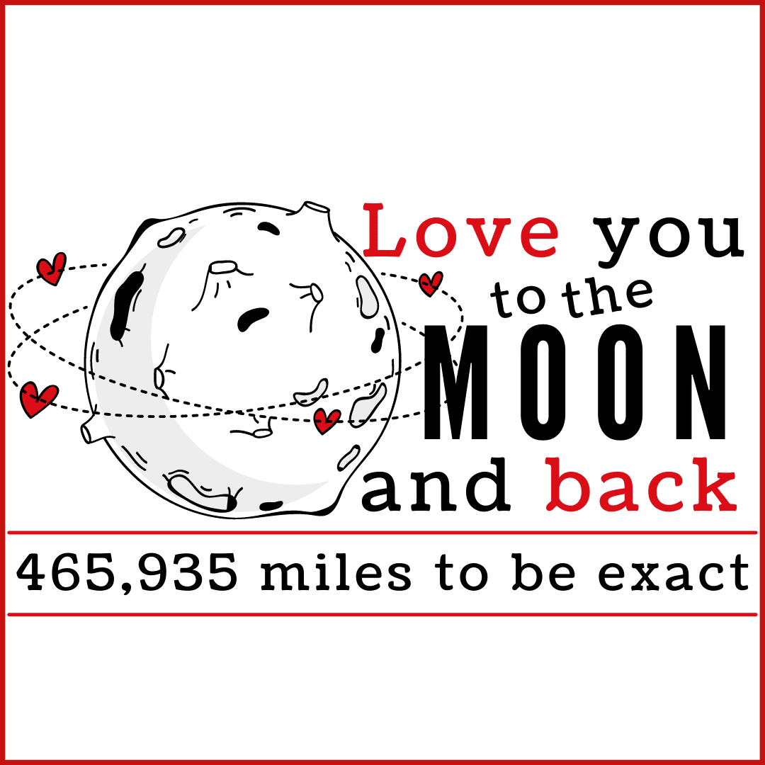 Moon and Back | NGS Magnified