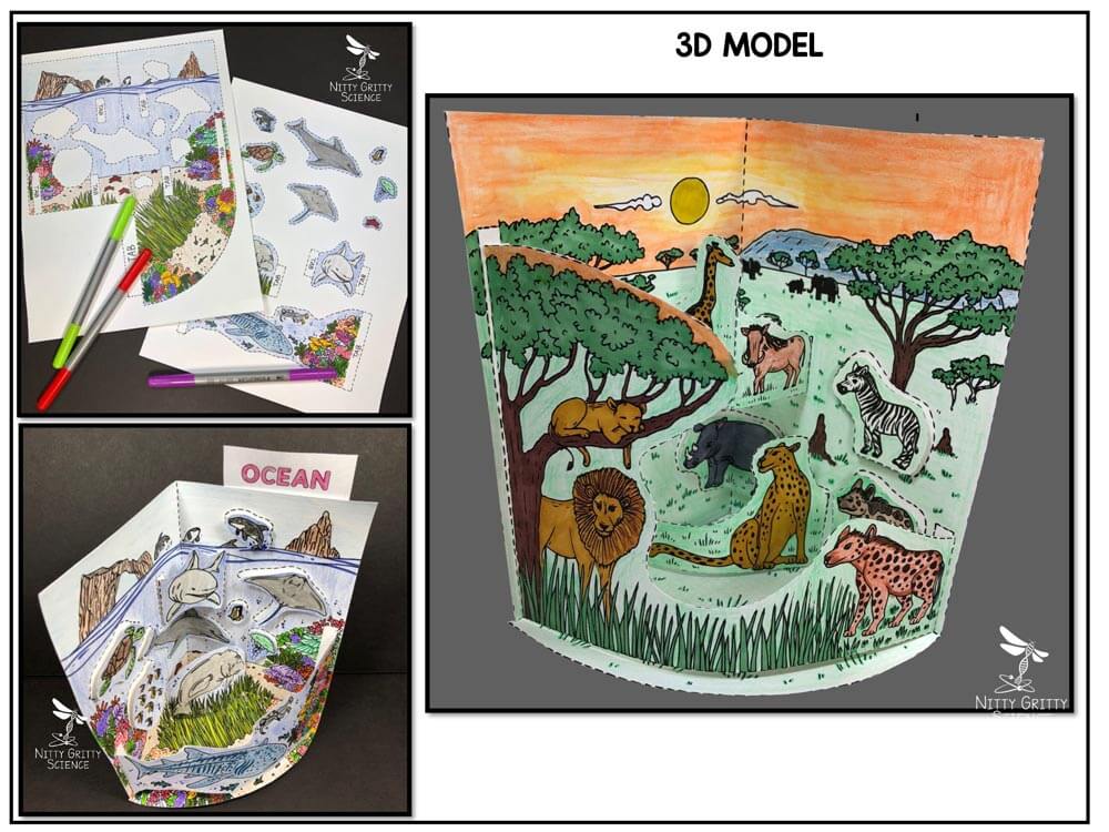 Ocean Biome Model – 3D Model – Biome Project | NGS Magnified