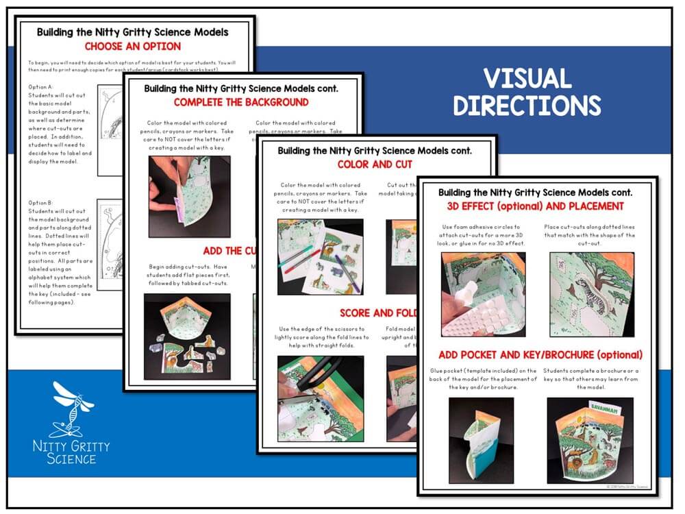 Ocean Biome Model – 3D Model – Biome Project | NGS Magnified