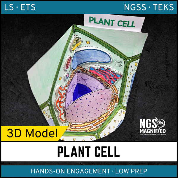 Plant Cell – 3D Model | NGS Magnified