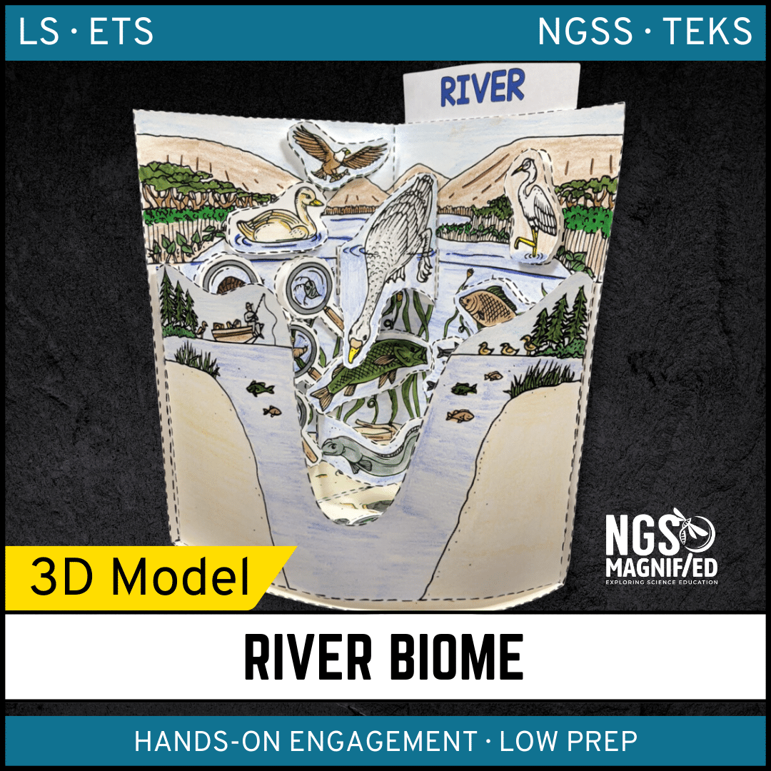 River Biome Model – 3D Model – Biome Project | NGS Magnified