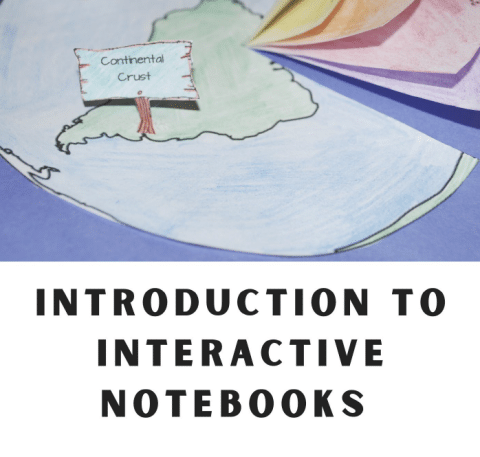Introduction to Interactive Notebooks | NGS Magnified