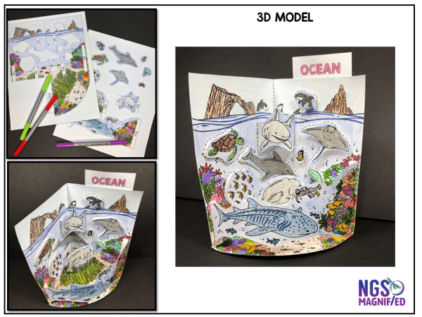 Ocean Biome Model – 3D Model – Biome Project | NGS Magnified