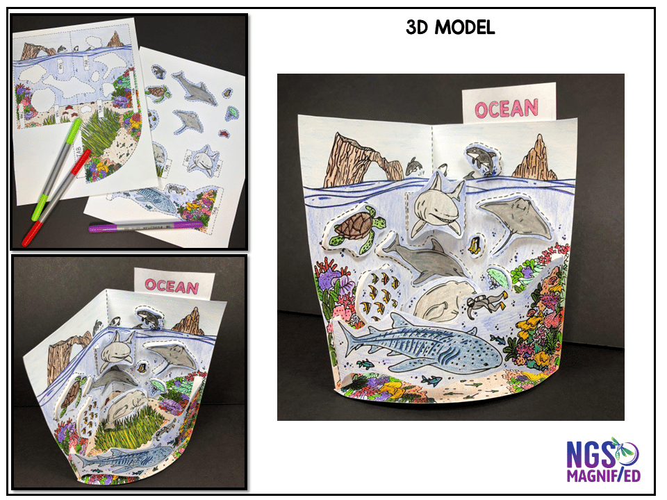 Ocean Biome Model – 3D Model – Biome Project | NGS Magnified