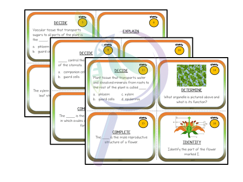 Plants – Task Cards | NGS Magnified