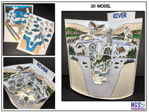 River Biome Model – 3D Model – Biome Project | NGS Magnified