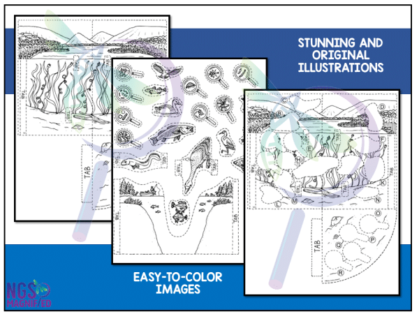 River Biome Model – 3D Model – Biome Project | NGS Magnified
