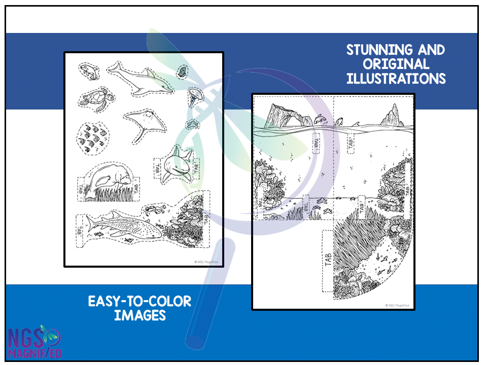 Ocean Biome Model – 3D Model – Biome Project | NGS Magnified