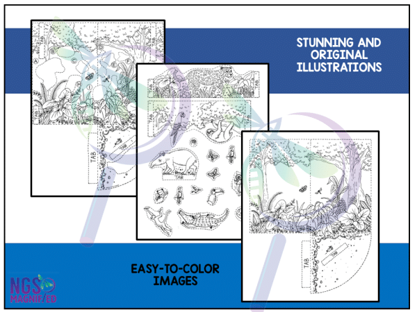 Rainforest Biome Model – 3D Model – Biome Project | NGS Magnified