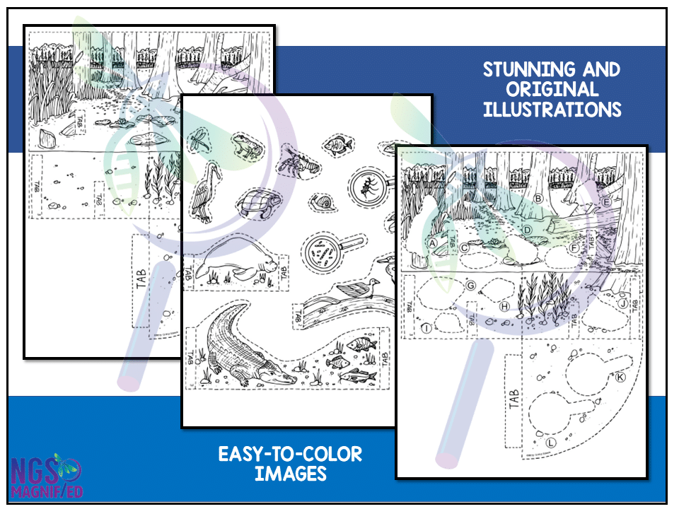 Wetland Biome Model – 3D Model – Biome Project | NGS Magnified