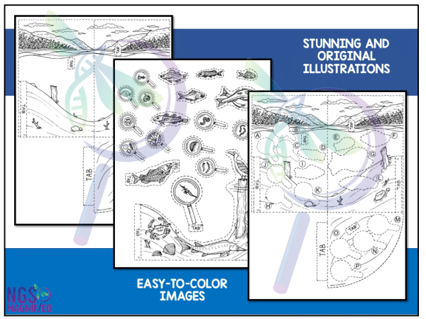 Lake Biome Model – 3D Model – Biome Project | NGS Magnified