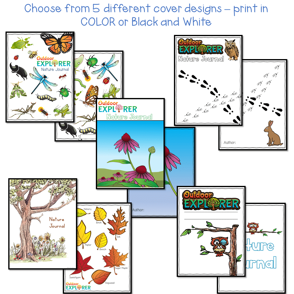 Slide2 | NGS Magnified