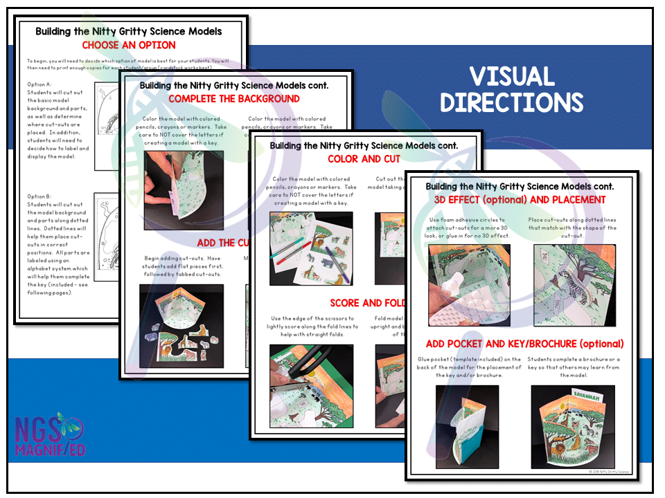 River Biome Model – 3D Model – Biome Project | NGS Magnified
