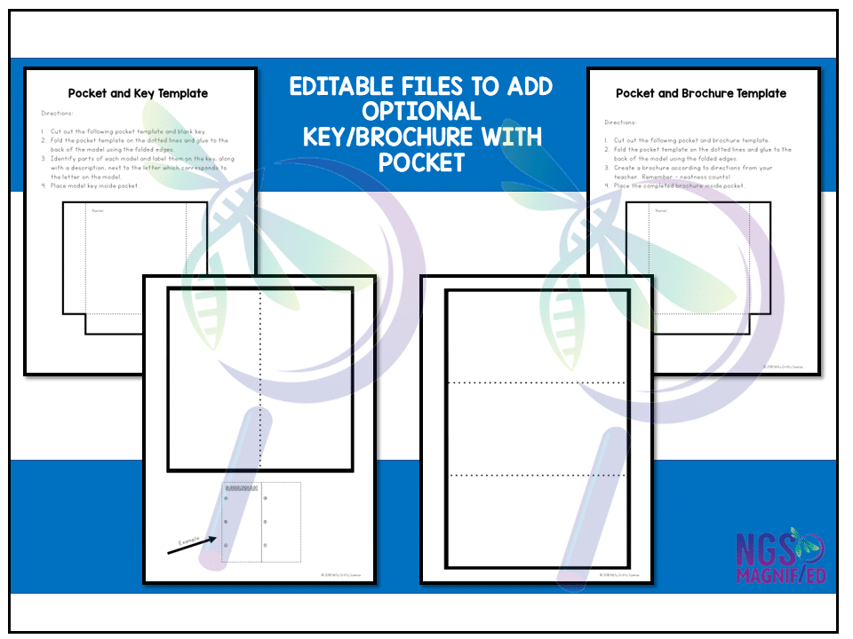 River Biome Model – 3D Model – Biome Project | NGS Magnified
