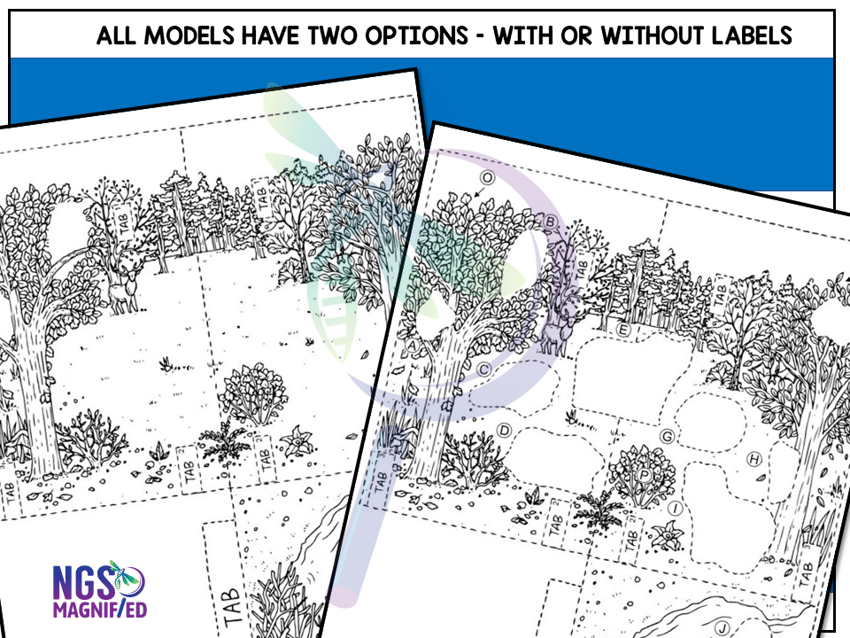 Desert Biome Model – 3D Model – Biome Project | NGS Magnified