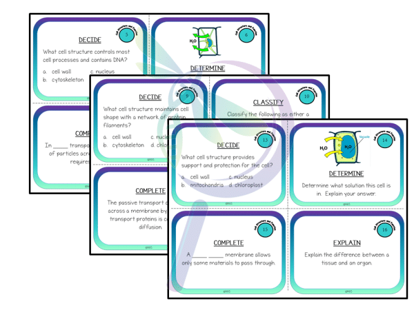 Cell Structure and Function Task Cards | NGS Magnified