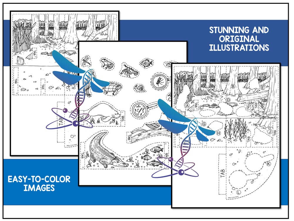 Wetland Biome Model – 3D Model – Biome Project | NGS Magnified
