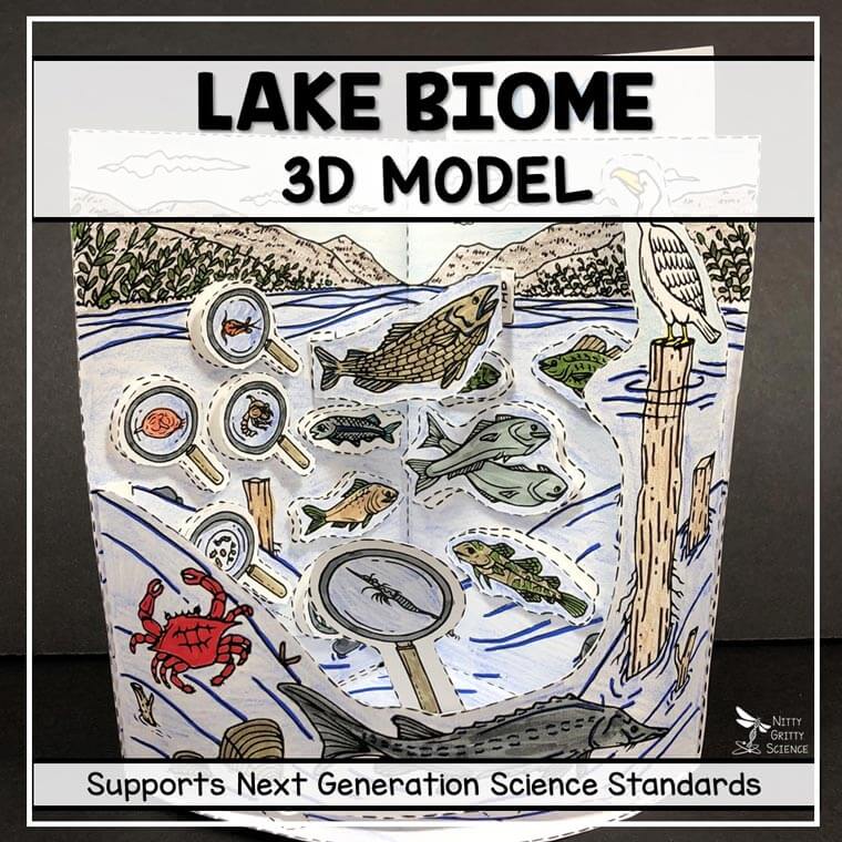 Lake Biome Model – 3D Model – Biome Project | NGS Magnified