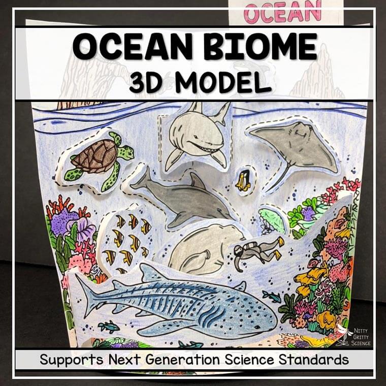 Ocean Biome Model – 3D Model – Biome Project | NGS Magnified