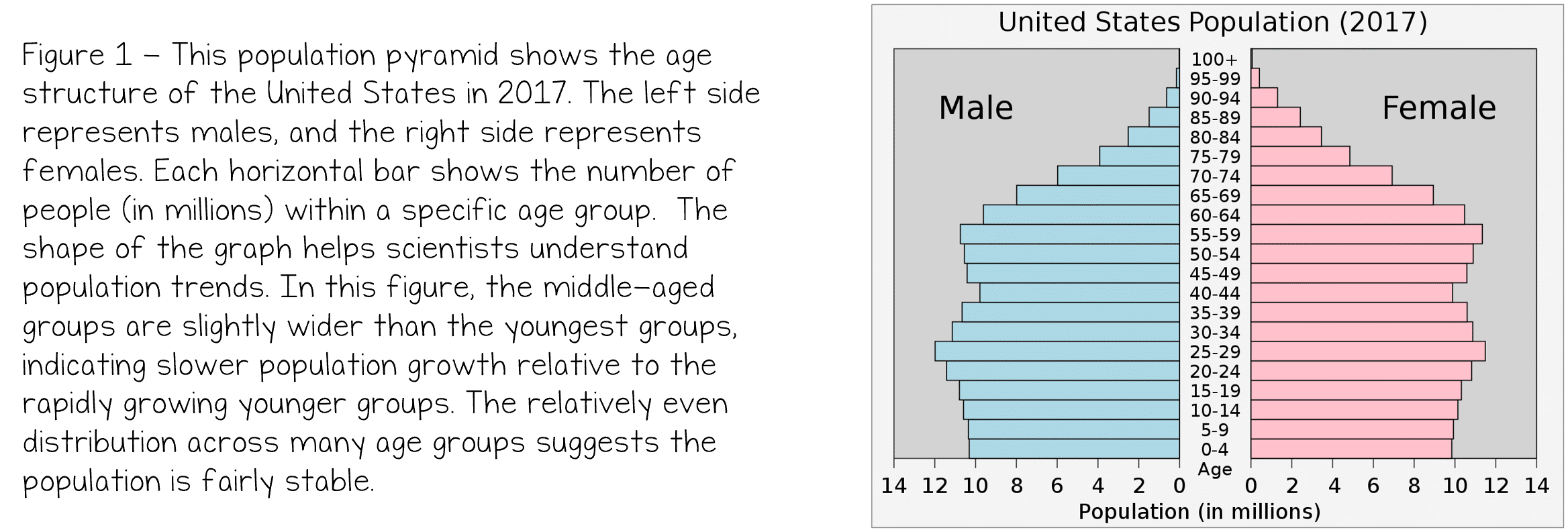 Section 2: Human Population | NGS Magnified