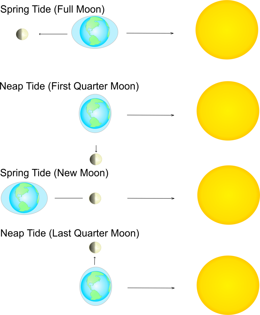 Section 4: Ocean Waves & Tides | NGS Magnified